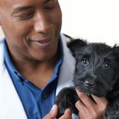 SIMPLY SOUTHERN PUPS - Updated August 2025 - 1557 Halfacre Rd, Newberry ...