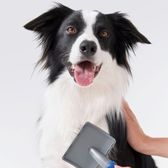 SIMPLY SOUTHERN PUPS - Updated January 2026 - 1557 Halfacre Rd ...