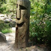 PEARWOOD SKATE CENTER - 22 Reviews - 1230 Broadway St, Pearland, Texas ...