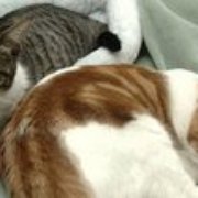 LEEANNE SERA, DDS - 24 Reviews - 2585 Homestead Rd, Santa Clara ...