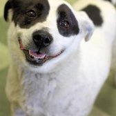 GOODWILL INDUSTRIES - Updated July 2025 - 11 Photos & 53 Reviews - 2460 ...