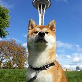 KASALA OUTLET - Updated October 2025 - 41 Photos & 120 Reviews - 1946 ...