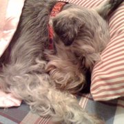 HUD’S - Updated December 2025 - 35 Photos & 44 Reviews - 7311 W ...