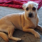 BODEGA R RANCH MARKET - Updated September 2025 - 134 Photos & 72 ...