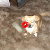 WALMART SUPERCENTER - Updated January 2026 - 25 Photos & 55 Reviews ...