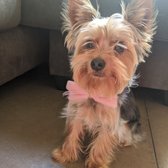 REX CLEANERS - 26 Photos & 159 Reviews - Laundry Services - 60 Race St ...