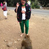 URBAN ORE - Updated August 2025 - 518 Photos & 603 Reviews - 900 Murray ...