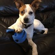 DONG SENG - 5 Saint Marie Street, Embrun, Ontario - Chinese ...