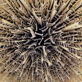 UNIVERSITY RADIOLOGY - TEANECK - Updated December 2025 - 15 Photos & 18 ...