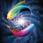 BIG RUN WOLF RANCH - Updated September 2025 - 84 Photos & 35 Reviews ...