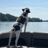 GEORGE INLET LODGE - Updated July 2025 - 301 Photos & 97 Reviews ...