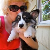 ATHENA GUN CLUB - 169 Photos & 233 Reviews - Gun/Rifle Ranges - 10814 ...