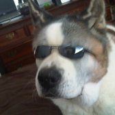 CELLNETIX PATHOLOGY - Updated December 2025 - 67 Reviews - 1229 Madison ...