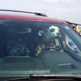 JAVA JOHNS - 78 Photos & 53 Reviews - 306 Broad St, Nevada City, CA - Yelp