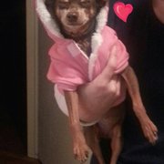 TARGET - Updated September 2025 - 209 Photos & 247 Reviews - 20700 S ...