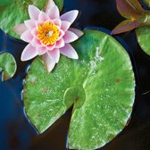 AMC CLASSIC FORNEY 12 - Updated December 2025 - 19 Photos & 61 Reviews ...