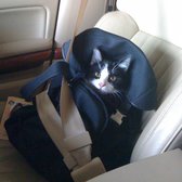 THE HANSA GUILD - Updated April 2025 - 21 Reviews - 369 Ludlow Ave ...