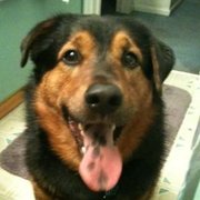 AL’S CONE ZONE - Updated September 2025 - 16 Photos & 45 Reviews - 1211 ...