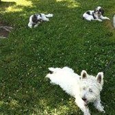 GET PAGEHUB - Updated December 2025 - 34 Reviews - 12362 Beach Blvd ...