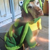 BAYBERRY SPA - Updated August 2025 - 51 Photos & 35 Reviews - 1 N ...