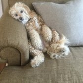 MAS FINANCIAL SERVICES - Updated November 2025 - 164 Reviews - 501 ...