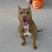 DR STILE - Updated December 2025 - 187 Photos & 273 Reviews - 8954 ...