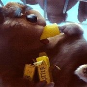 FIRST LADY PERMANENTE EDUCATION CENTER - Updated December 2025 - 37 ...