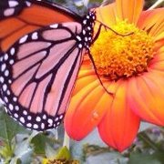 RYAN CHELSEA-CLINTON - Updated December 2025 - 77 Reviews - 645 10th ...