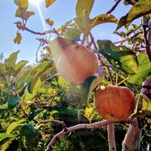 VINELAND FLEA MARKET - Updated April 2025 - 13 Reviews - 2896 S Delsea ...