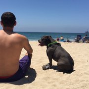 CALIFORNIA HIGHWAY PATROL - 25 Reviews - Police Departments - 9530 ...