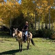 ALPINE FORD - Updated December 2025 - 74 Reviews - 2828 Us-50, Pueblo ...