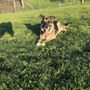 LEWIS LIBRARY AND TECHNOLOGY CENTER - Updated January 2026 - 95 Photos ...