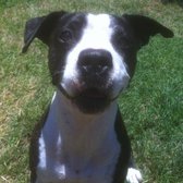 CALIFORNIA IMAGING INSTITUTE - Updated October 2025 - 33 Photos & 95 ...