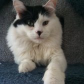 HALFTIME BAR & GRILL - 22 Photos & 94 Reviews - 2405 W Johnsburg Rd ...