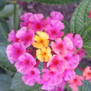 BERWICK MANOR PARTY HOUSE - 19 Photos & 29 Reviews - 3250 Refugee Rd ...