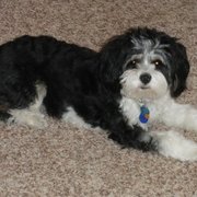 NEVADA VISION GROUP - Updated December 2025 - 10 Photos & 74 Reviews ...