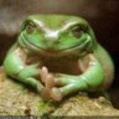 BOSWELL TRANSITIONAL CARE OF CASCADIA - Updated August 2025 - 30 ...