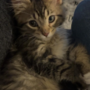 EZ FREEZY - Updated November 2025 - 14 Photos & 29 Reviews - 6495 ...