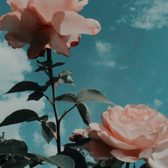 CAVEAU - Updated December 2025 - 73 Photos & 41 Reviews - 1 Cntr Plz ...