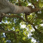 WHITE POINT NATURE PRESERVE - 273 Photos & 31 Reviews - 1600 W Paseo ...