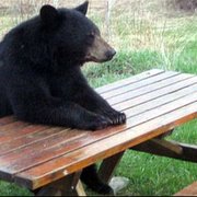 ASHEVILLE OPEN MRI - Updated July 2025 - 19 Reviews - 675 Biltmore Ave ...