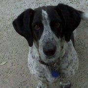 LISA WOOLF, MD - Updated December 2025 - 44 Reviews - 32144 Agoura Rd ...