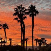 ALT REBEL - Updated October 2025 - 68 Photos & 86 Reviews - 1425 S Main ...