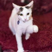 LOT-LESS - Updated December 2025 - 59 Photos & 80 Reviews - 206 W 40th ...