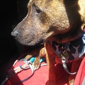 EVERGREEN SUBARU - Updated December 2025 - 10 Photos & 51 Reviews - 49 ...