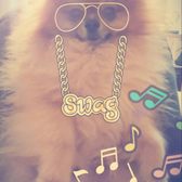 SUTTER AUBURN FAITH HOSPITAL - Updated October 2025 - 104 Reviews ...