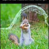 RENO GUNS & RANGE - 227 Photos & 207 Reviews - 2325 Market St, Reno, NV ...