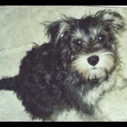 RED’S SHOE BARN - 15 Photos & 23 Reviews - Shoe Stores - 35 Broadway ...