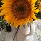 GREG J PANOSSIAN, DDS - Updated October 2025 - 31 Reviews - 5240 ...