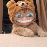 BARRIO TACOS KENT - Updated January 2026 - 56 Photos & 113 Reviews ...